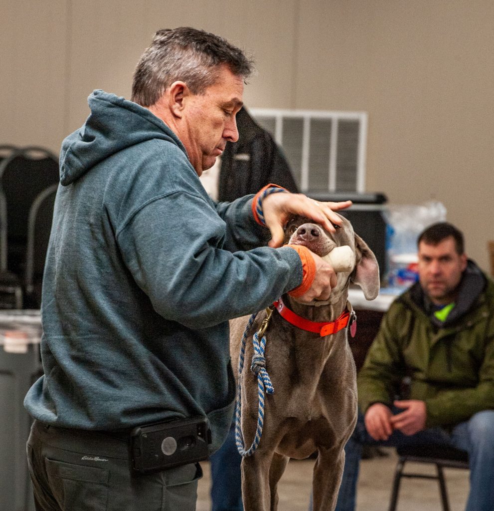 Force Fetch Foundations – MN NAVHDA