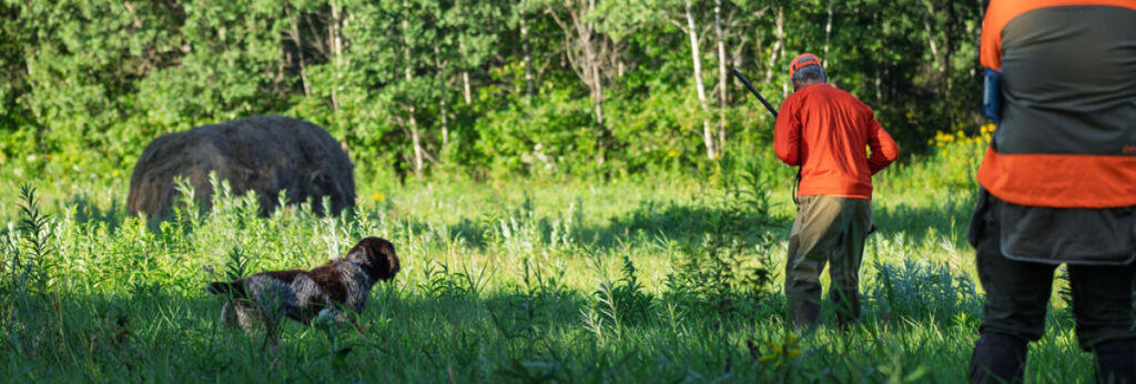 MINNESOTA NAVHDA – Hunt-Train-Test